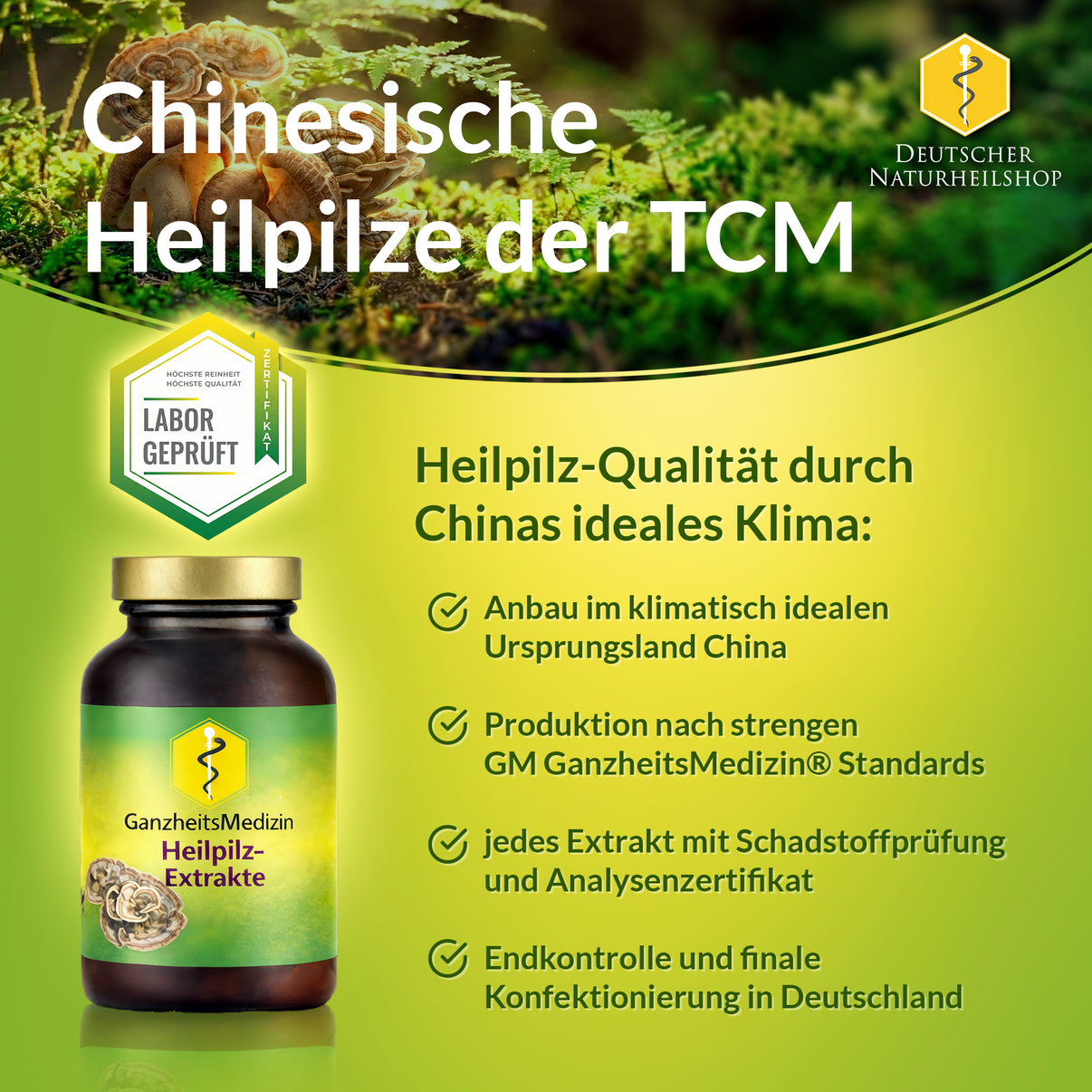 GM Trametes Huaier Pilz Extrakt – Deutscher Naturheilshop